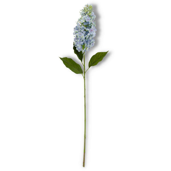 Cone Hydrangea Stem – Olive Tree Marketplace