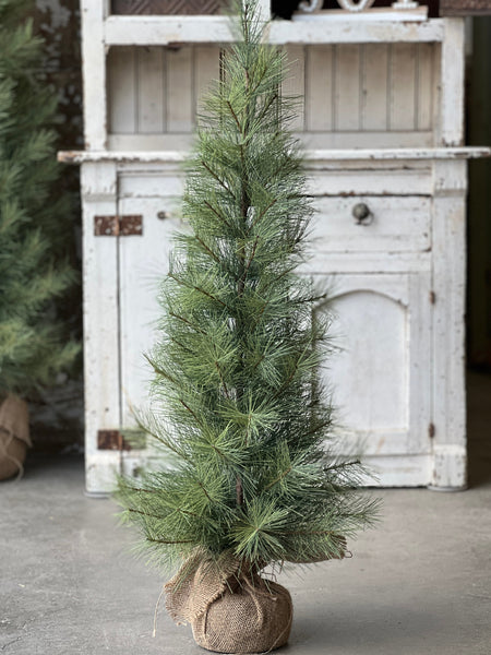Timberline Pine Trees – Olive Tree Marketplace