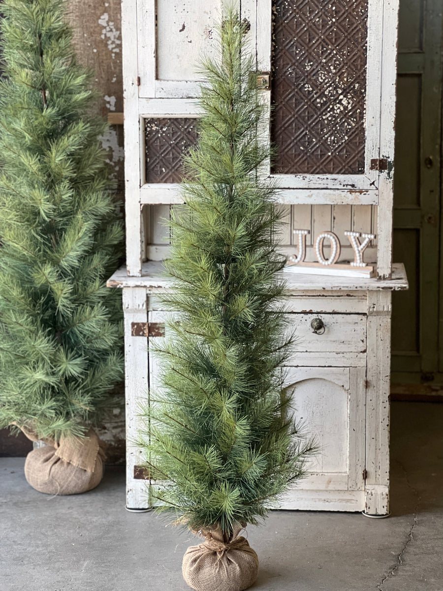 Timberline Pine Trees – Olive Tree Marketplace