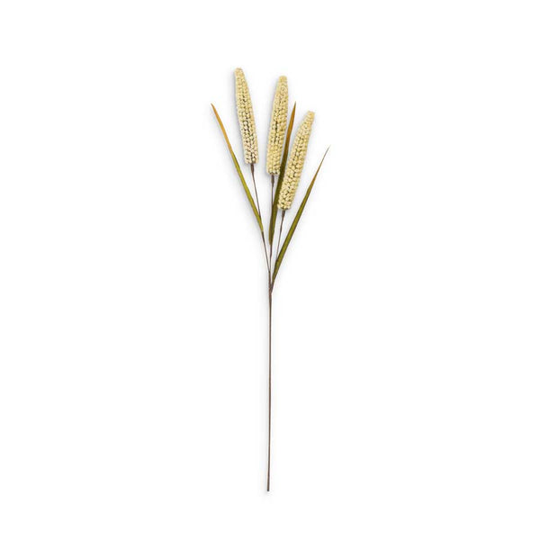 Rice Spray – Olive Tree Marketplace